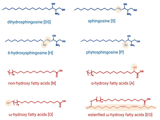 Sphingosine 1-Phosphate as Essential Signaling Molecule in Inflammatory ...