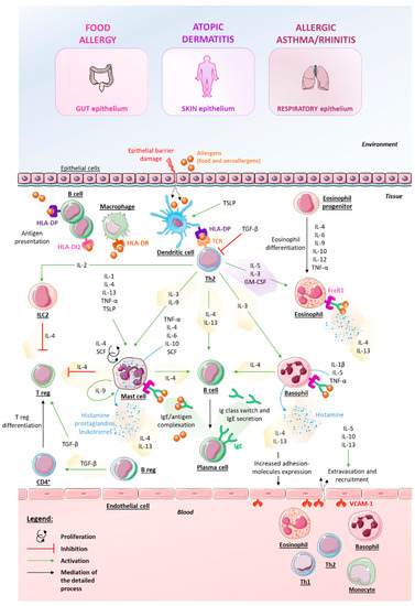 IJMS | Free Full-Text | How an Immune-Factor-Based Formulation of Micro ...