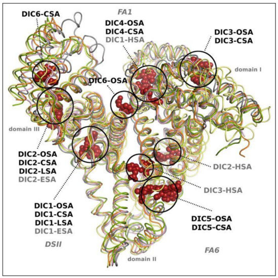 Structural Investigation of Diclofenac Binding to Ovine, Caprine, and ...