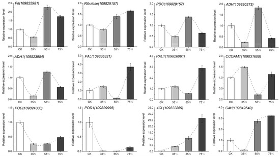 A Joint Transcriptomic and Metabolomic Analysis Reveals the Regulation of Shading on Lignin ...