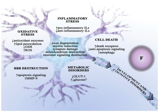 Fluoride in the Central Nervous System and Its Potential Influence on ...