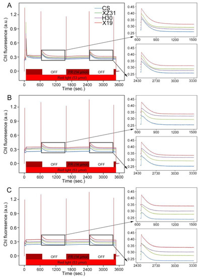 Different Photosynthetic Response to High Light in Four Triticeae Crops