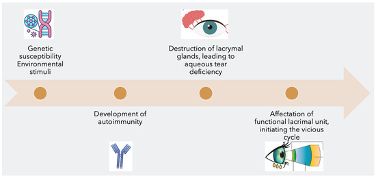 An Overview of the Dry Eye Disease in Sjögren’s Syndrome Using Our ...