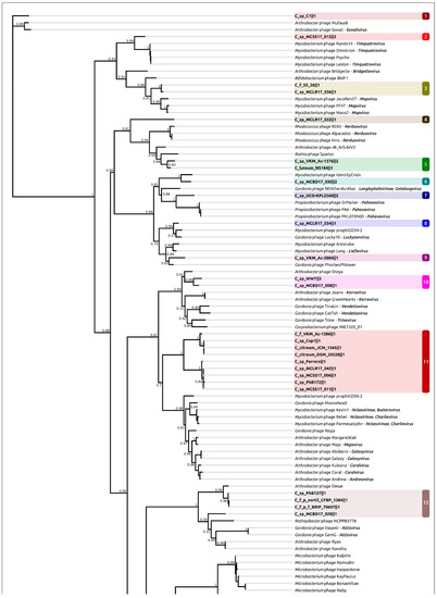 Prophage-Derived Regions in Curtobacterium Genomes: Good Things, Small ...