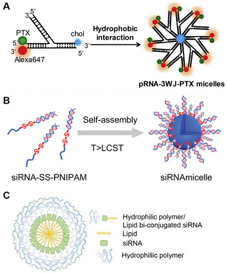 Structures and Applications of Nucleic Acid-Based Micelles for Cancer ...