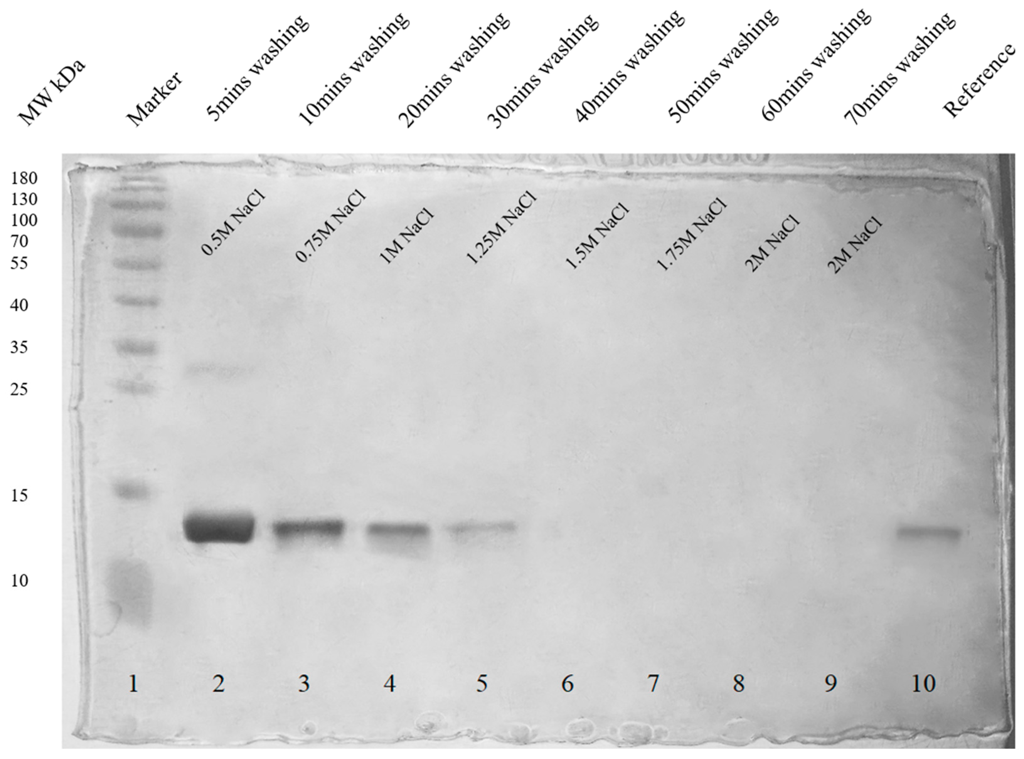Red Blood Cell Substitutes: Liposome Encapsulated Hemoglobin and ...