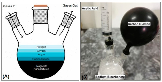 Red Blood Cell Substitutes: Liposome Encapsulated Hemoglobin and ...