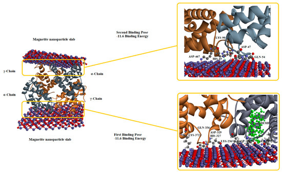 Red Blood Cell Substitutes: Liposome Encapsulated Hemoglobin and ...