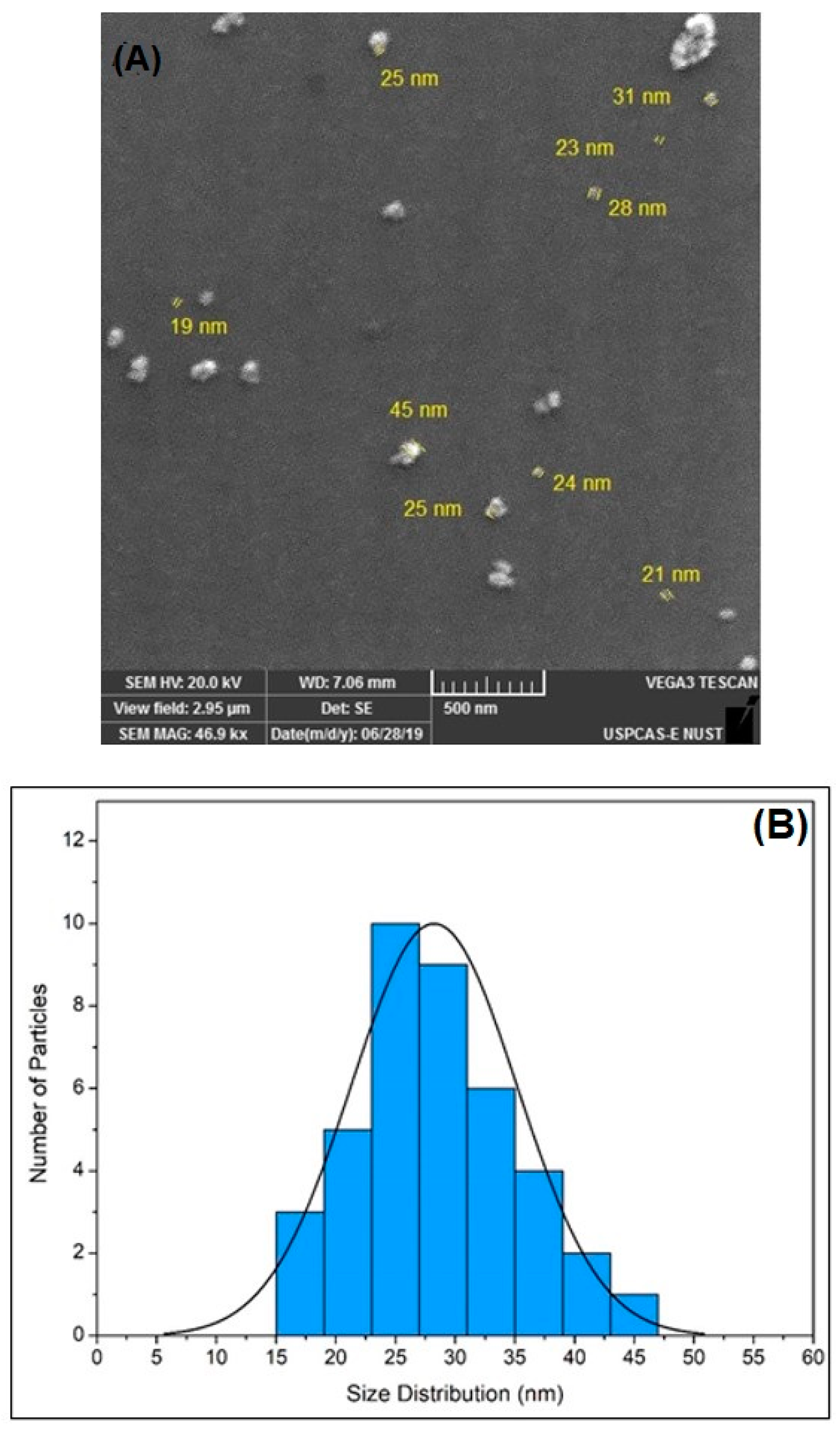 Red Blood Cell Substitutes: Liposome Encapsulated Hemoglobin and ...