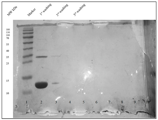 Red Blood Cell Substitutes: Liposome Encapsulated Hemoglobin and ...