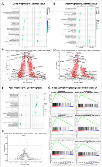 Mining TCGA Database for Genes with Prognostic Value in Breast Cancer