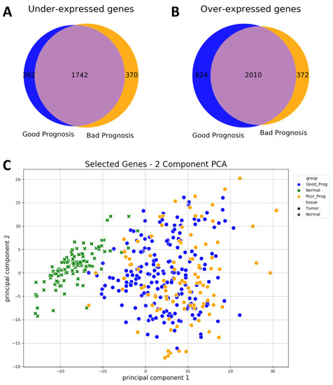 Mining TCGA Database for Genes with Prognostic Value in Breast Cancer
