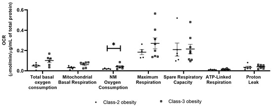 Visceral Adipose Tissue Bioenergetics Varies According to Individuals ...