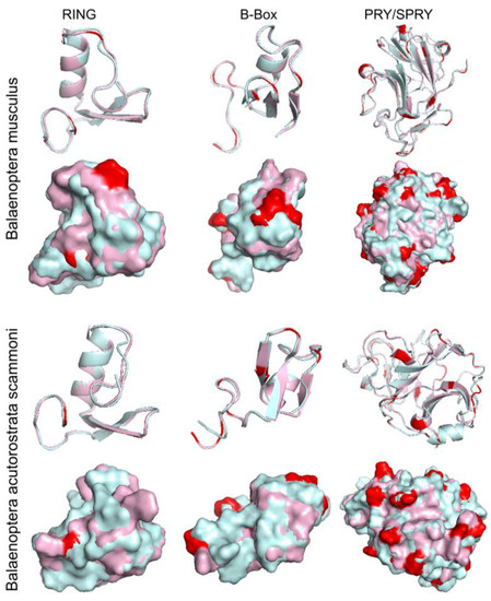 Multiple Roles of TRIM21 in Virus Infection