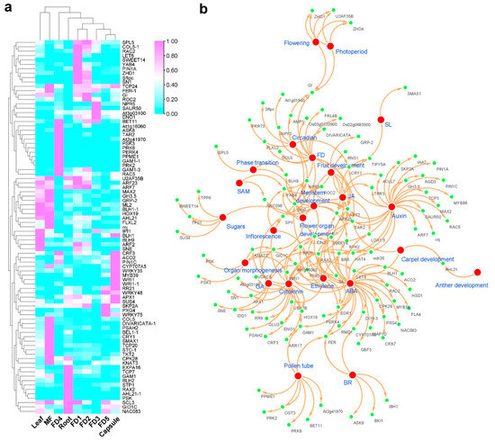 The Integrated mRNA and miRNA Approach Reveals Potential Regulators of ...