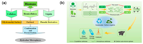 Biomass-Based Hydrothermal Carbons for the Contaminants Removal of ...