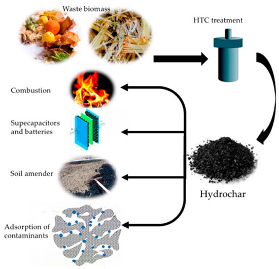 Biomass-Based Hydrothermal Carbons for the Contaminants Removal of ...