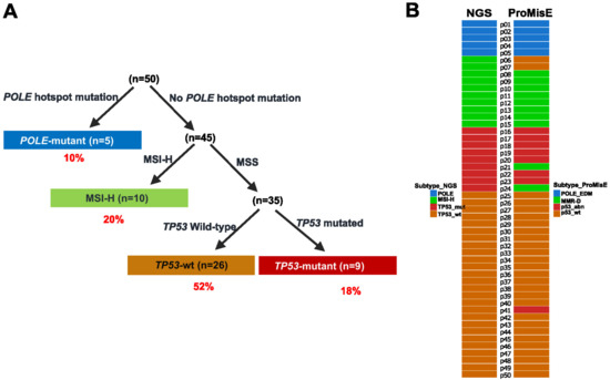 Immunologic Signatures across Molecular Subtypes and Potential ...