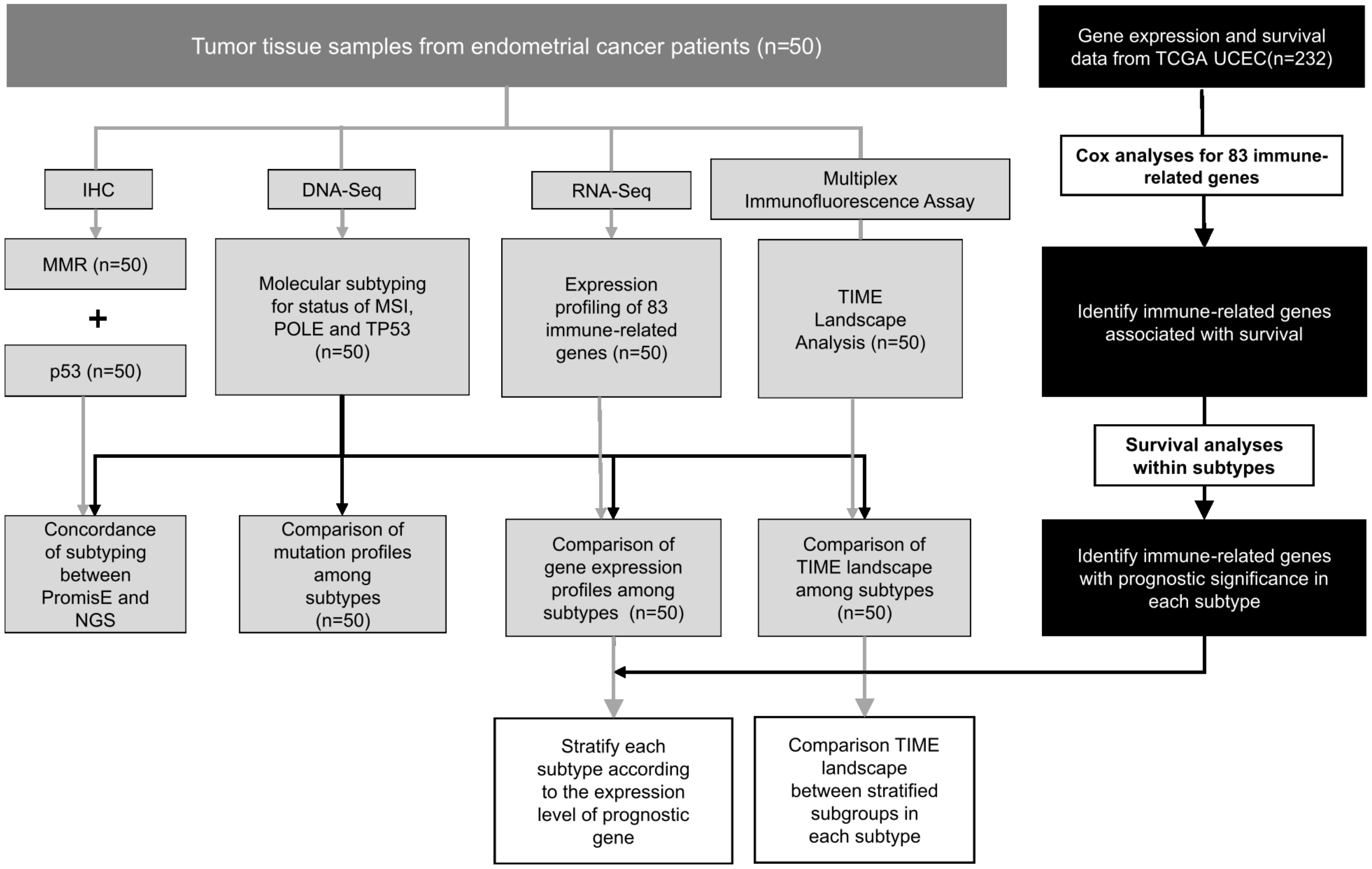 Immunologic Signatures across Molecular Subtypes and Potential ...