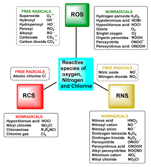 IJMS | Free Full-Text | Superoxide Anion Chemistry—Its Role at the Core ...