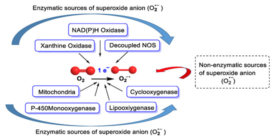IJMS | Free Full-Text | Superoxide Anion Chemistry—Its Role at the Core ...