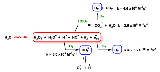 IJMS | Free Full-Text | Superoxide Anion Chemistry—Its Role at the Core ...