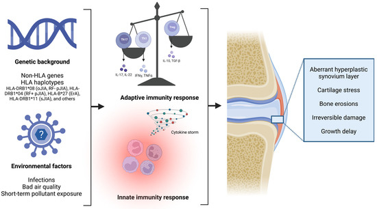 IJMS | Free Full-Text | Genetic Background and Molecular Mechanisms of Juvenile Idiopathic Arthritis