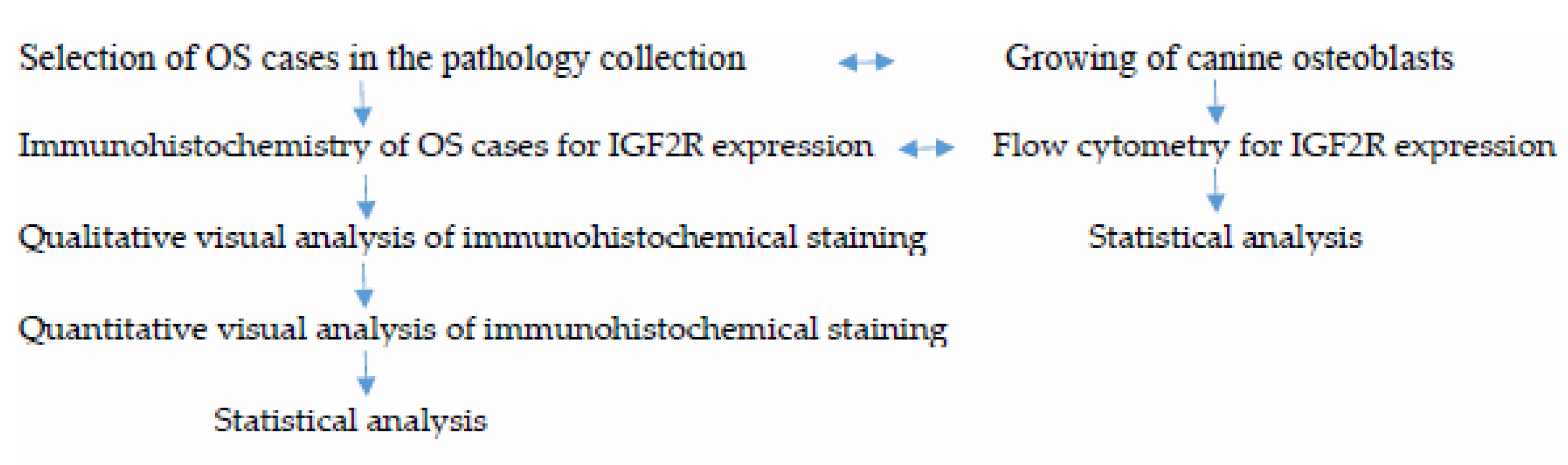 Characterization of IGF2R Molecular Expression in Canine Osteosarcoma ...
