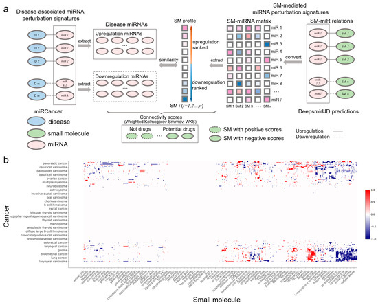 DeepsmirUD: Prediction of Regulatory Effects on microRNA Expression ...