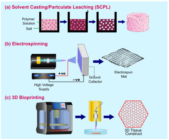 Fabrication and Characterization Techniques of In Vitro 3D Tissue Models