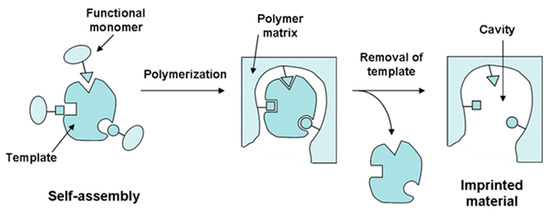 Current Trends in Molecular Imprinting: Strategies, Applications and ...