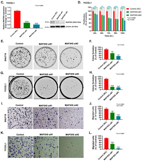 Epigenetic Regulation of MAP3K8 in EBV-Associated Gastric Carcinoma