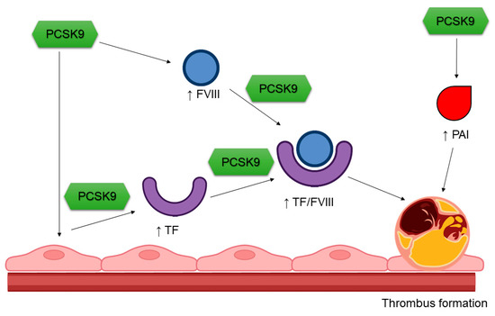 IJMS | Free Full-Text | PCSK9 as an Atherothrombotic Risk Factor