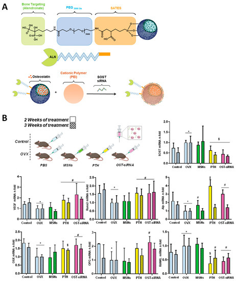 Targeting Agents in Biomaterial-Mediated Bone Regeneration