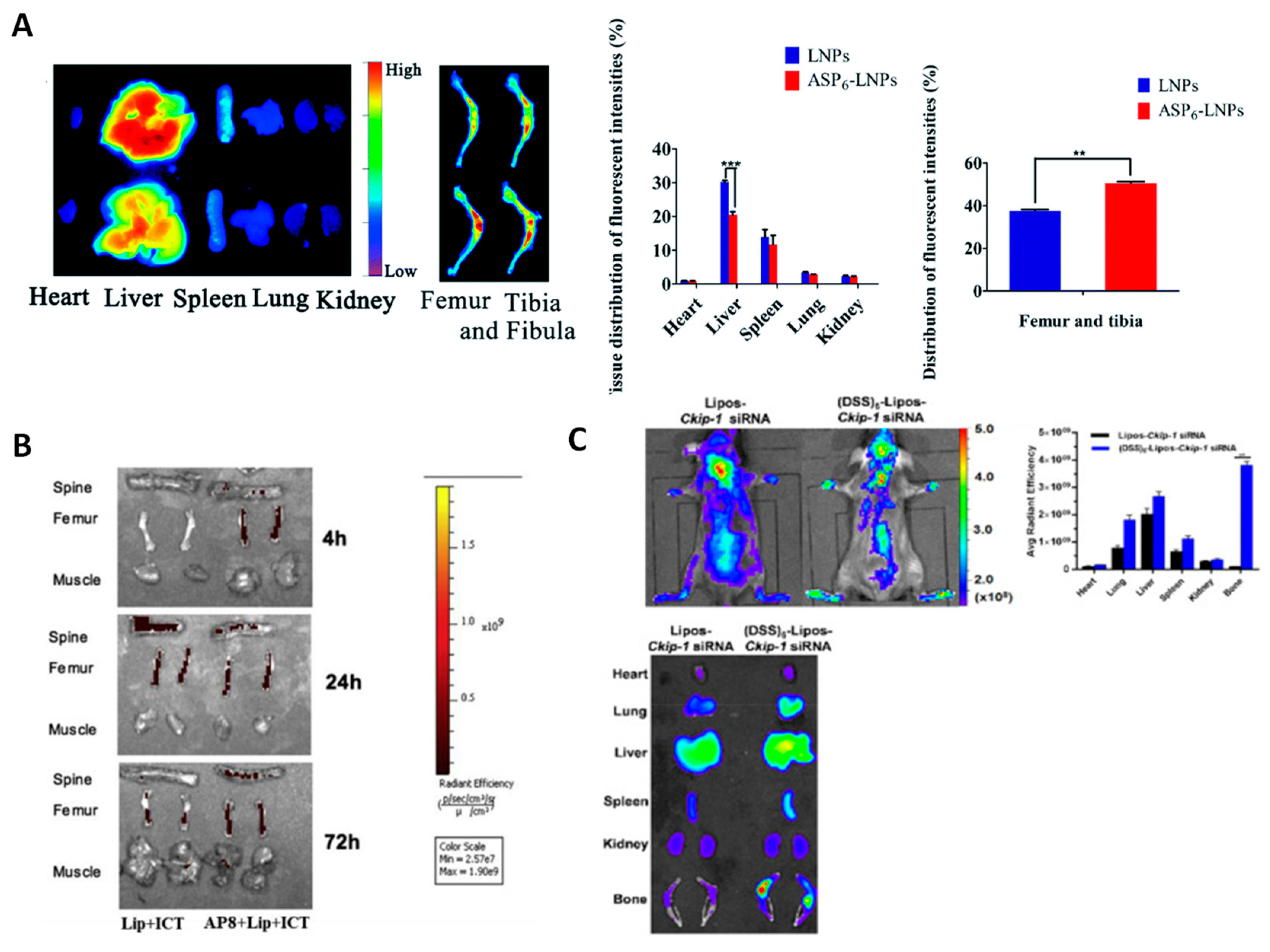 Targeting Agents in Biomaterial-Mediated Bone Regeneration