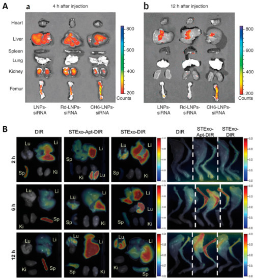 Targeting Agents in Biomaterial-Mediated Bone Regeneration