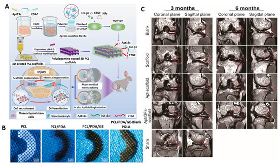Targeting Agents in Biomaterial-Mediated Bone Regeneration