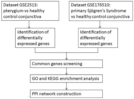 Key Genes of Immunity Associated with Pterygium and Primary Sjögren’s ...