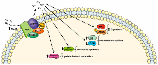Small-Molecule Inhibitors Of Reactive Oxygen Species, 45% OFF Small-Molecule Inhibitors Of Reactive Oxygen Species, 45% OFF