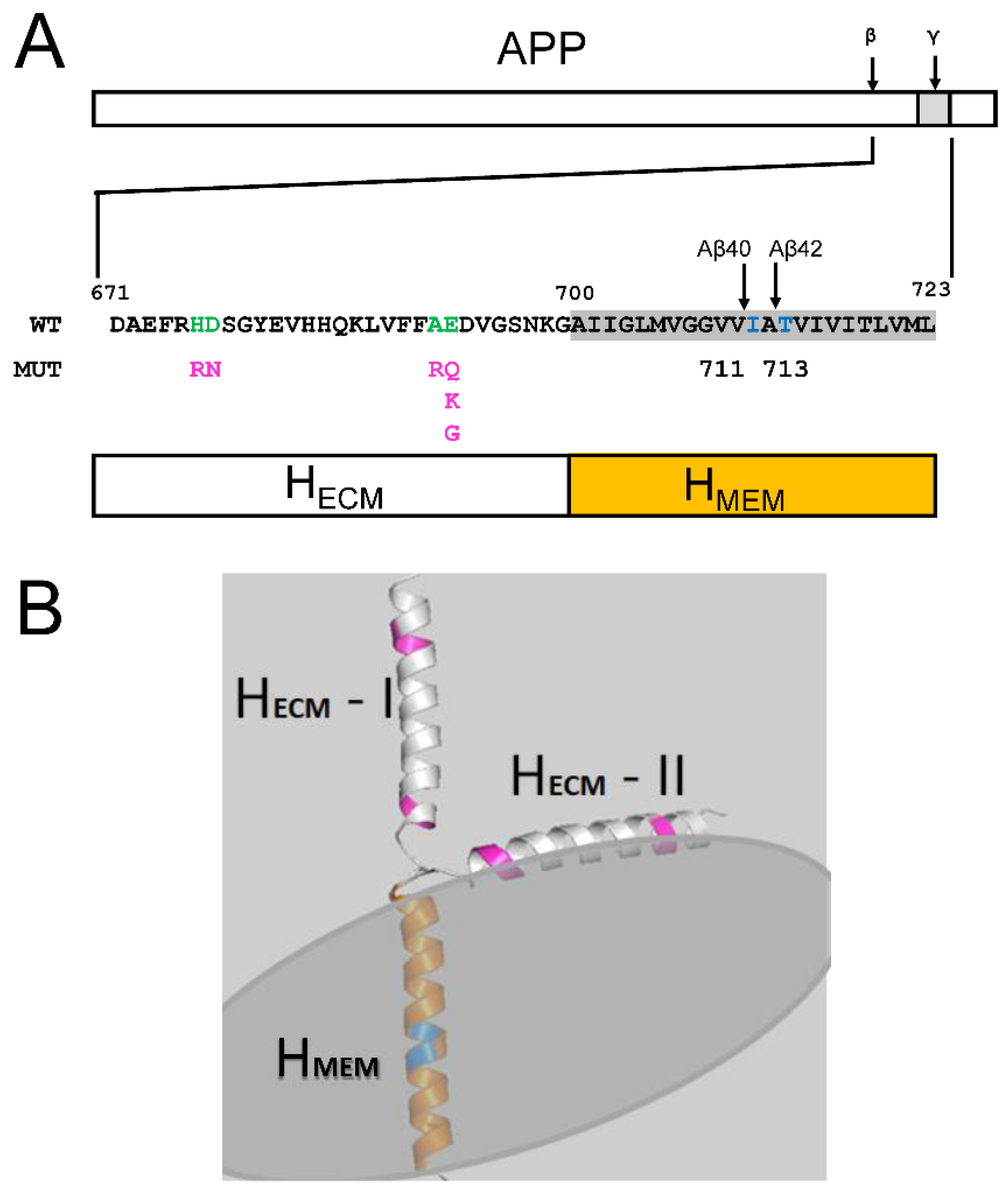 Analysis of Non-Amyloidogenic Mutations in APP Supports Loss of ...