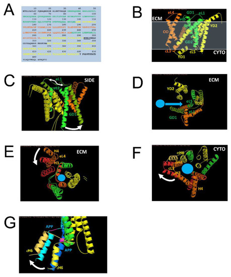 Analysis of Non-Amyloidogenic Mutations in APP Supports Loss of ...