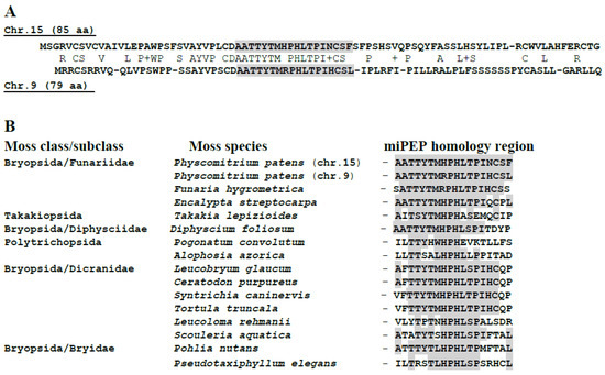 Regulatory miPEP Open Reading Frames Contained in the Primary ...