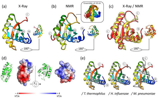 Yet Another Similarity between Mitochondrial and Bacterial Ribosomal ...