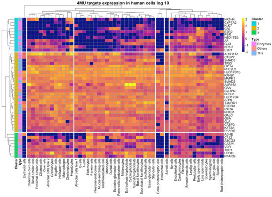 4-Methylumbelliferone Targets Revealed by Public Data Analysis and ...