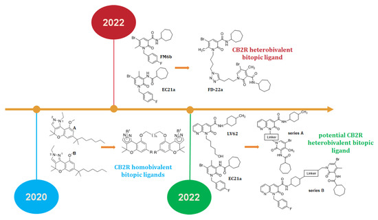 New Insights into Bitopic Orthosteric/Allosteric Ligands of Cannabinoid ...