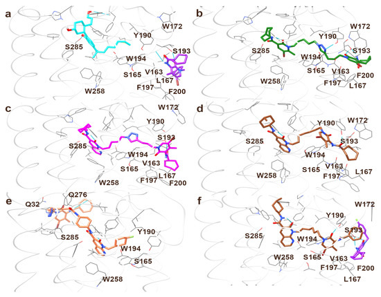 New Insights into Bitopic Orthosteric/Allosteric Ligands of Cannabinoid ...