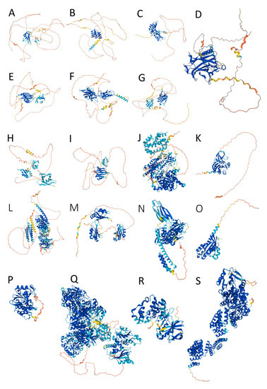 Liaisons dangereuses: Intrinsic Disorder in Cellular Proteins Recruited ...