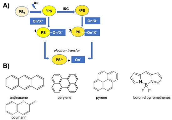 Sustainable Vegetable Oil-Based Biomaterials: Synthesis and Biomedical ...