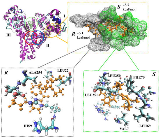 IJMS | Free Full-Text | Enantioselective Human Serum Albumin Binding of ...