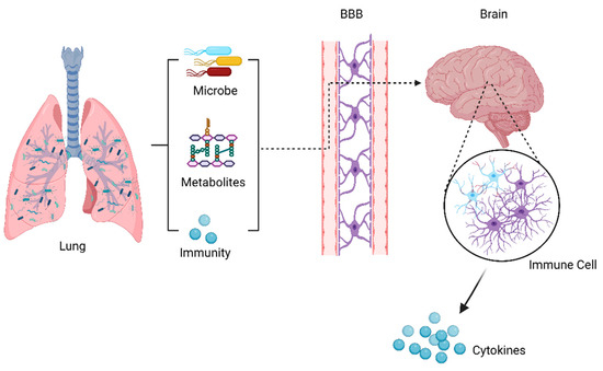 The Lung Microbiome: A New Frontier for Lung and Brain Disease